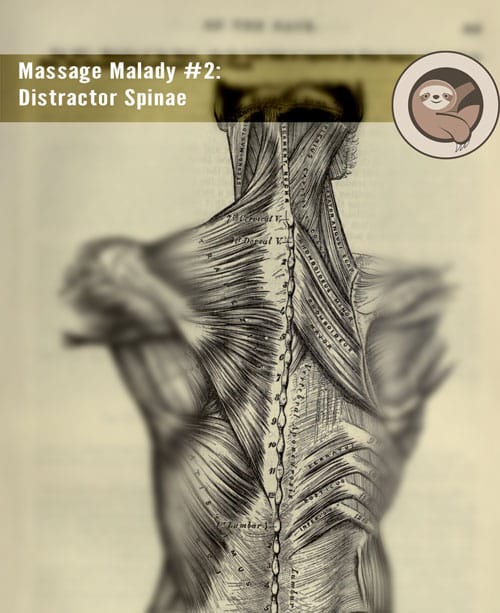 Massage Malady #2: “Distractor Spinae” | Massage Sloth